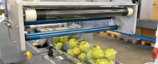 Understanding PFAS in Food Packaging - PJRFSL - UK